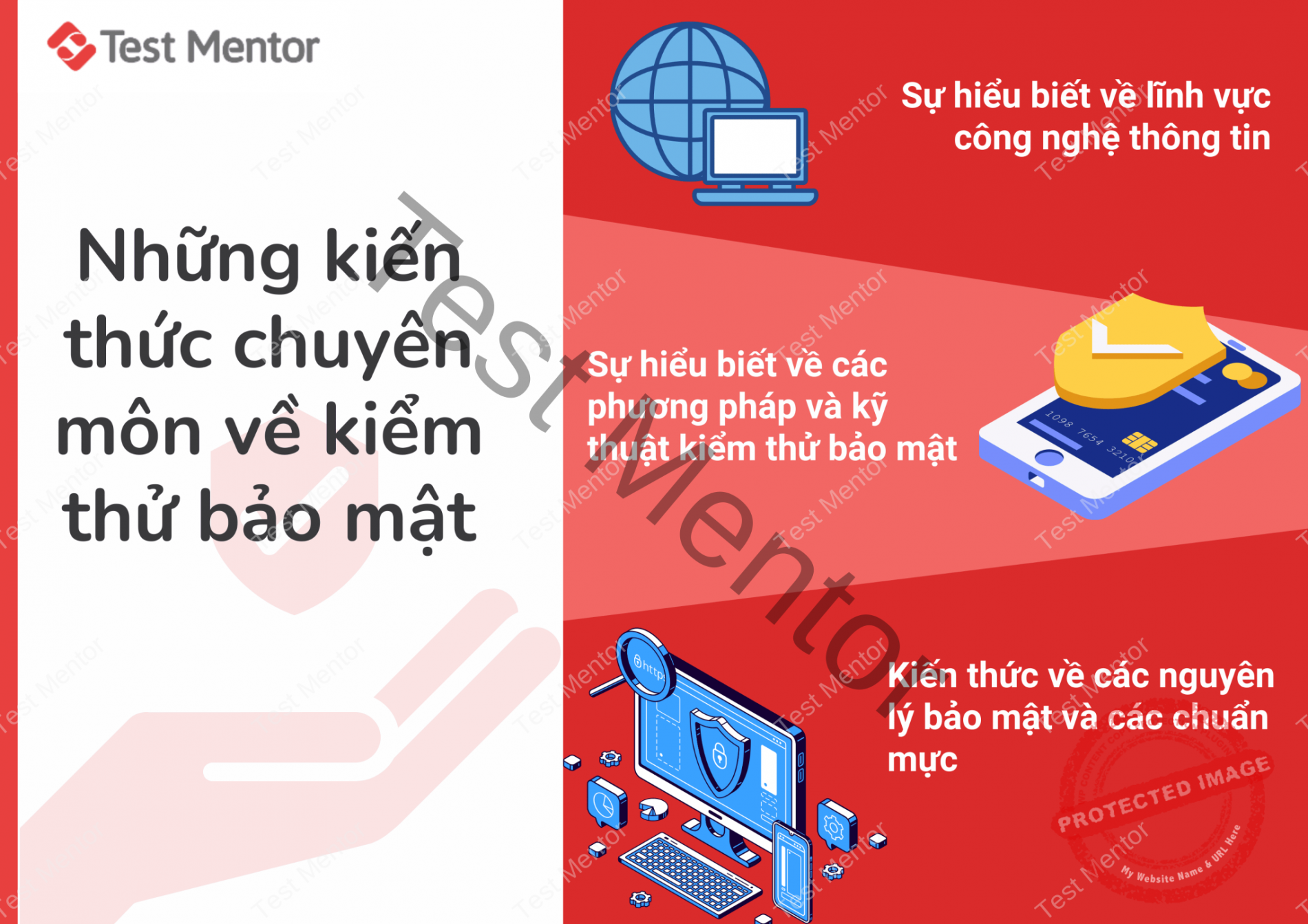 Học gì để trở thành Security Tester - Test Mentor