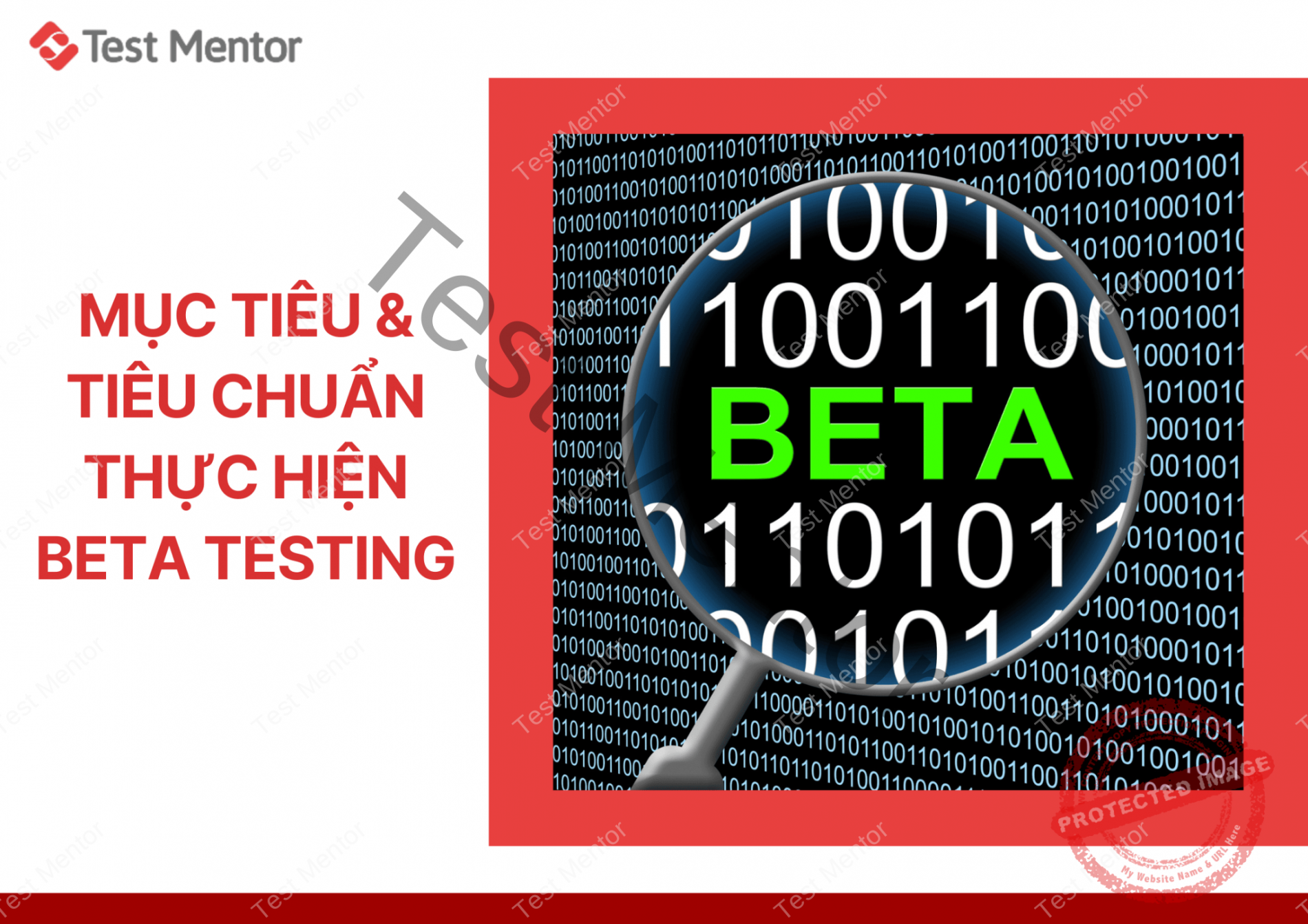 Các bước thử nghiệm Beta Testing hiệu quả cho Tester - Test Mentor