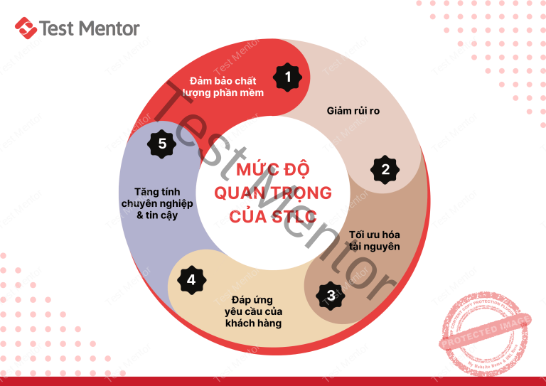 STLC: Chi tiết vòng đời kiểm thử phần mềm và vai trò của từng giai đoạn ...