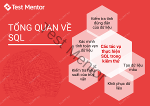 SQL cho Tester: Khám phá cách sử dụng SQL trong kiểm thử phần mềm ...