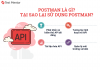 Postman: Hướng dẫn sử dụng cho người mới bắt đầu kiểm thử API - Test Mentor