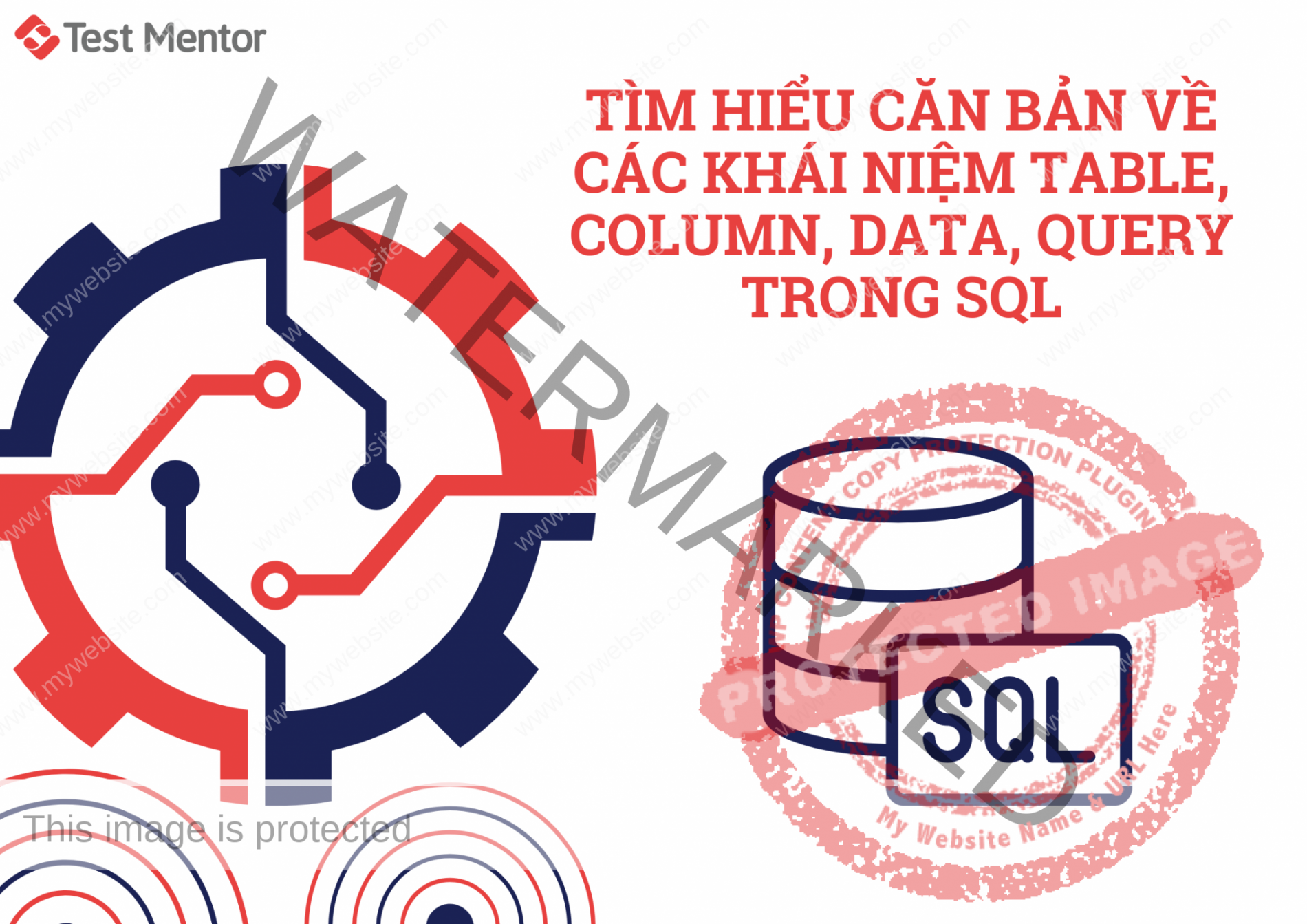 Tìm Hiểu Căn Bản Về Các Khái Niệm Table Column Data Query Trong Sql Test Mentor