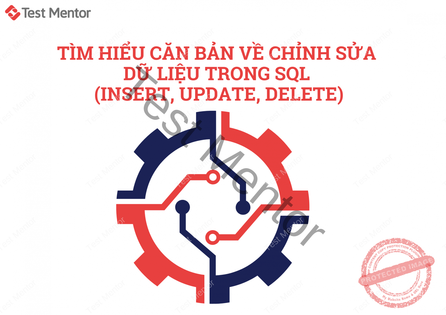 Tìm hiểu căn bản về chỉnh sửa dữ liệu trong SQL (Insert, Update, Delete ...