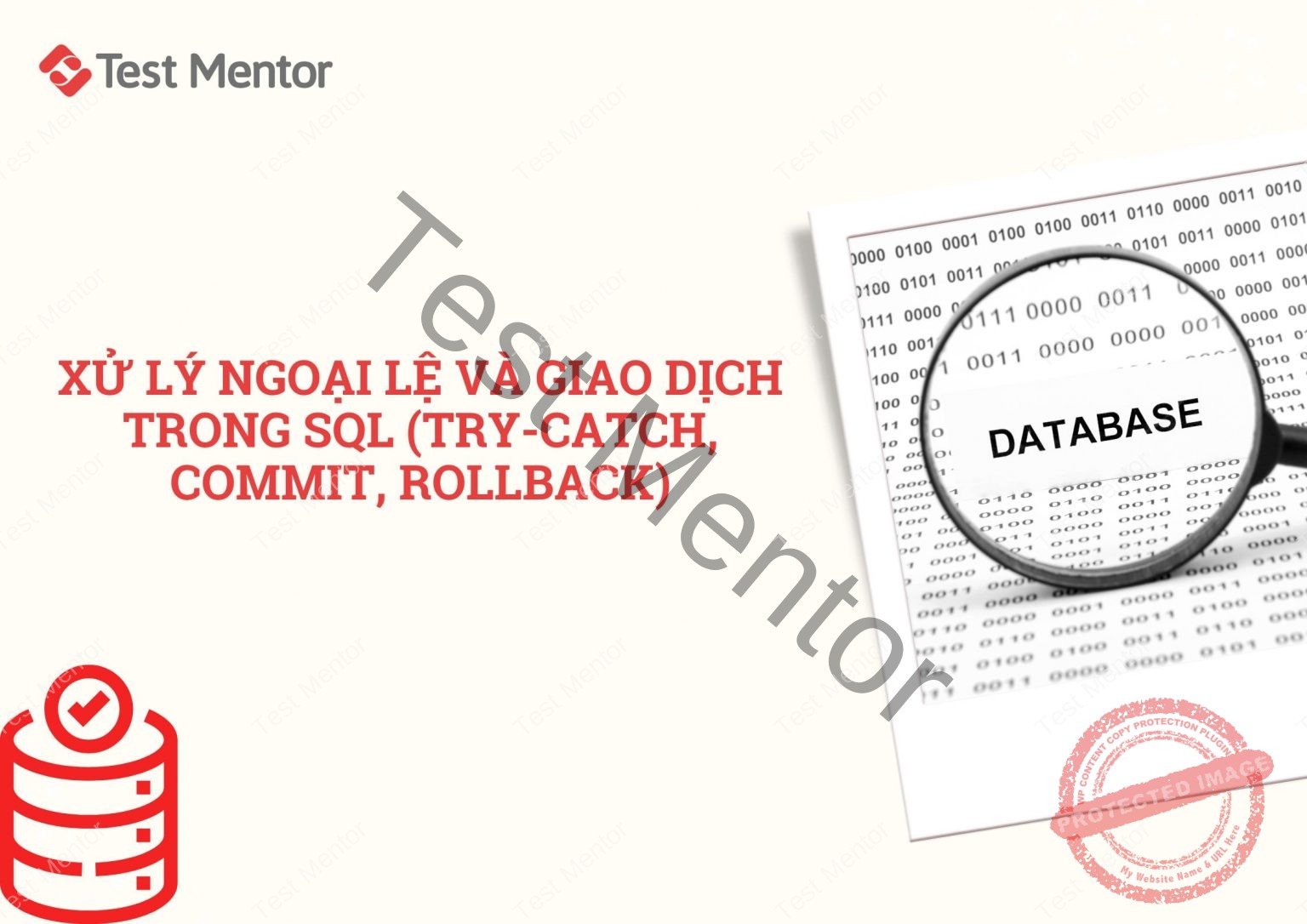 Xử lý ngoại lệ và giao dịch trong SQL - Test Mentor