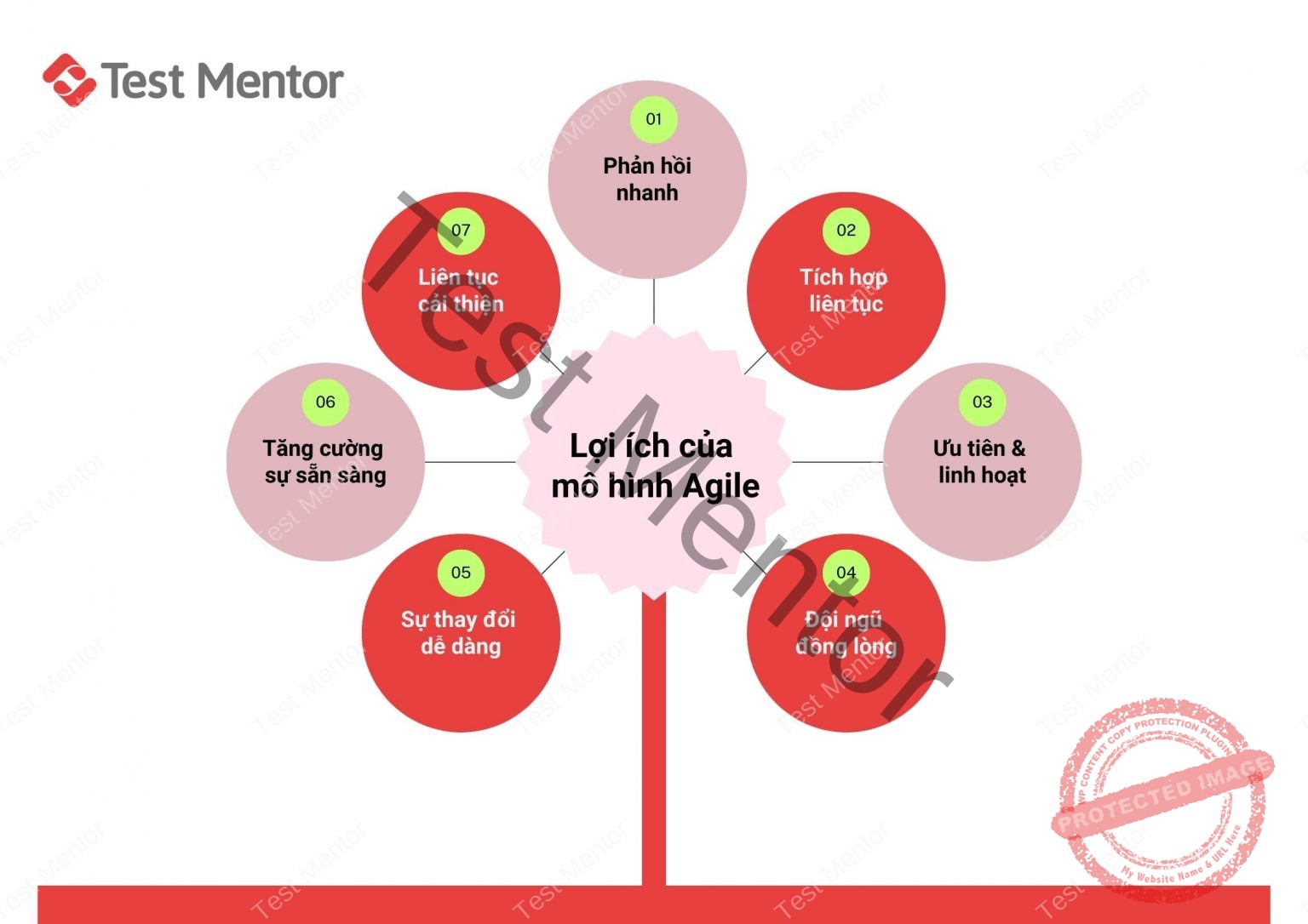 Tổng quan về mô hình agile trong kiểm thử phần mềm - Test Mentor