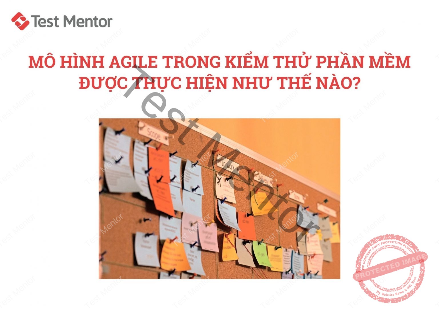 Tổng quan về mô hình agile trong kiểm thử phần mềm - Test Mentor