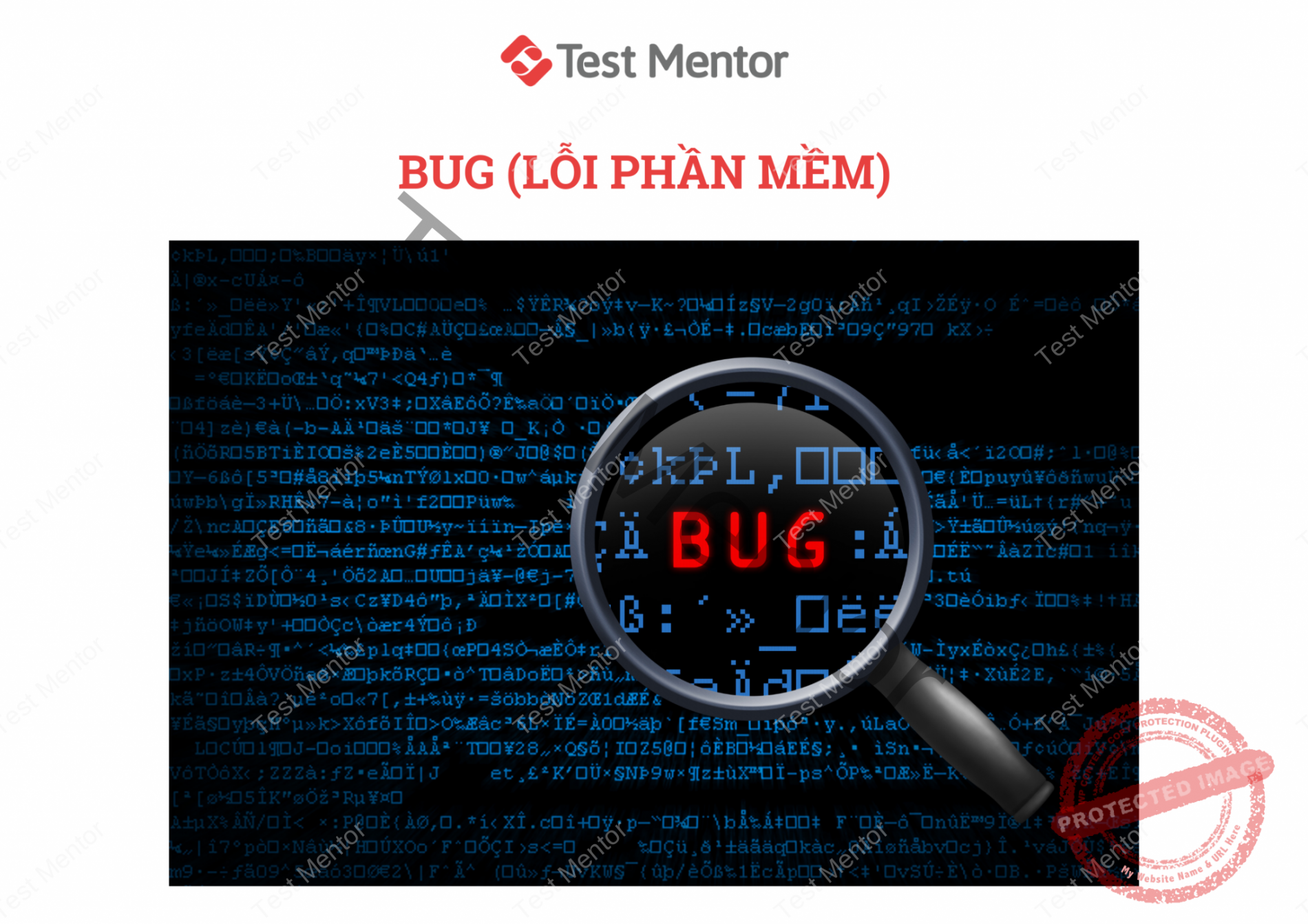 Tổng Hợp Thuật Ngữ Kiểm Thử Phần Mềm 2025 - Test Mentor